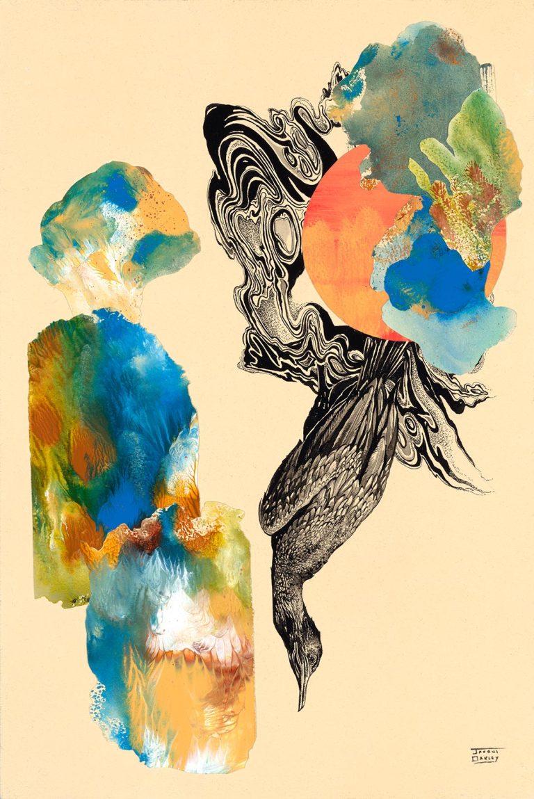 Home - Jacqui Oakley